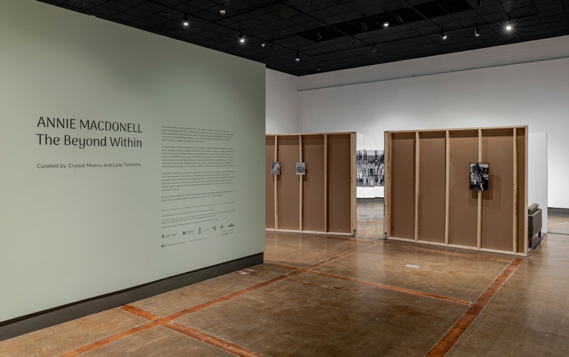 Annie MacDonell: The Beyond Within | Kitchener-Waterloo Art Gallery