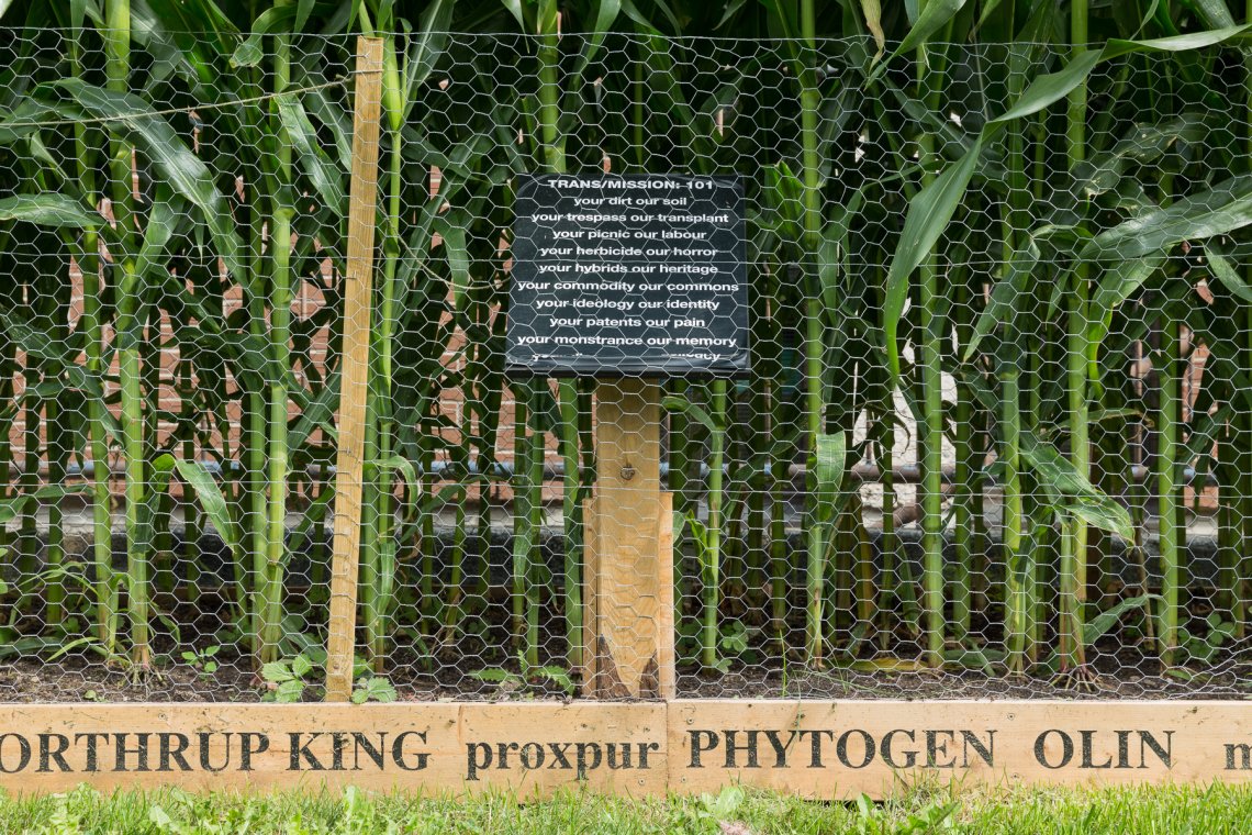 Ron Benner: Trans/mission: 101 | Kitchener-Waterloo Art Gallery